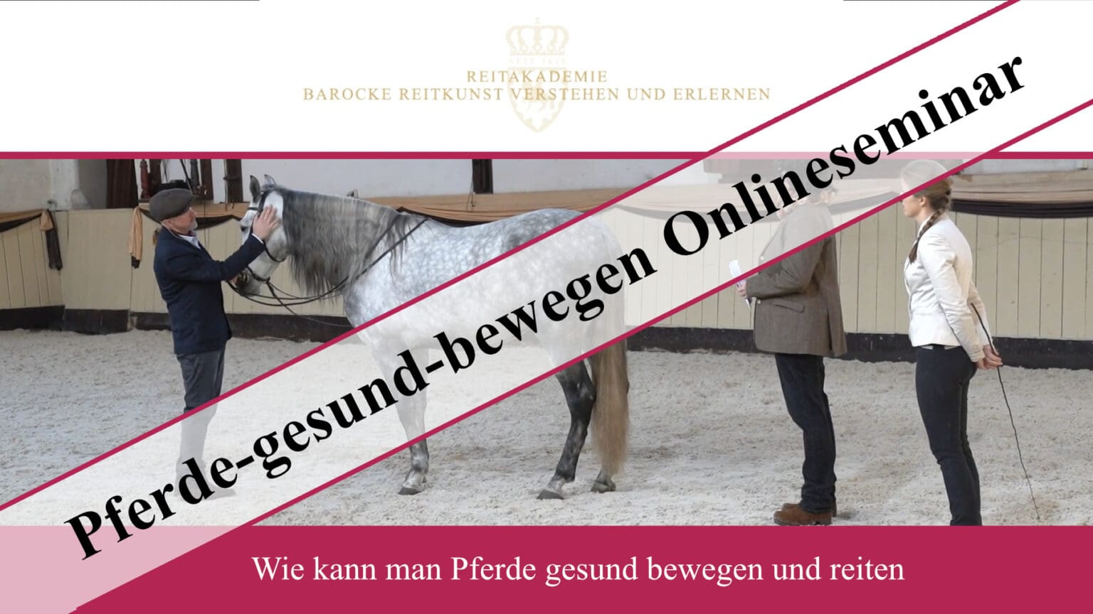 Alle Onlinekurse - Pferde gesund bewegen
