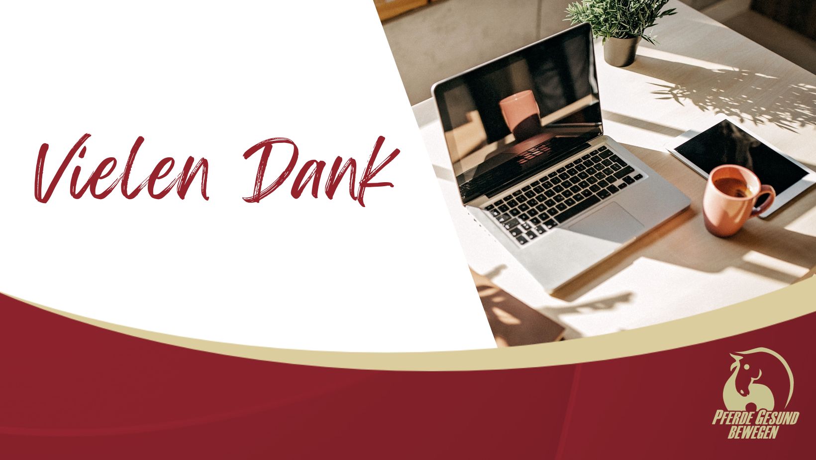 Vielen Dank für Deine Anmeldung - Pferde gesund bewegen